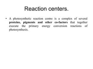 Photosynthetic apparatus in bacteria | PPTX