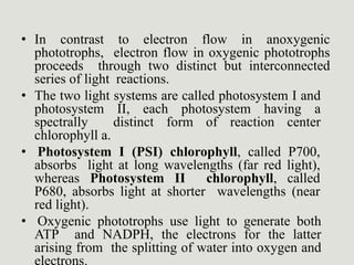 PHOTOSYNTHETIC BACTERIA (OXYGENIC AND ANOXYGENIC) | PPTX