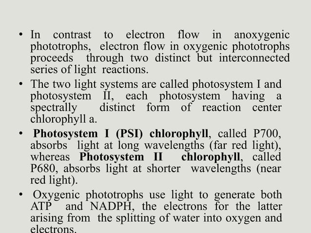 PHOTOSYNTHETIC BACTERIA (OXYGENIC AND ANOXYGENIC) | PPTX | Chemistry ...