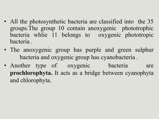 PHOTOSYNTHETIC BACTERIA (OXYGENIC AND ANOXYGENIC) | PPTX