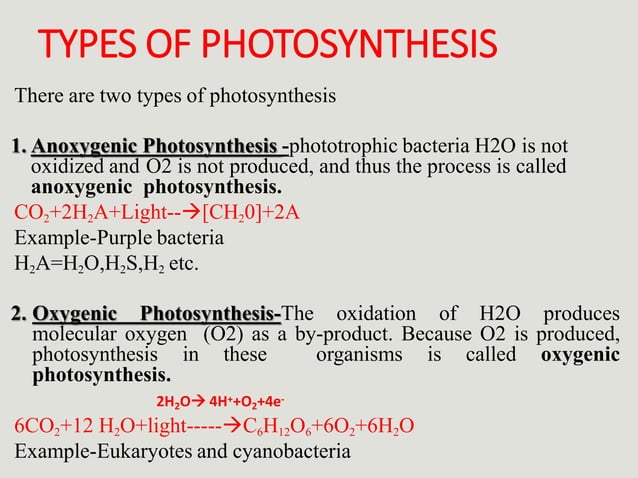 PHOTOSYNTHETIC BACTERIA (OXYGENIC AND ANOXYGENIC) | PPTX | Chemistry ...