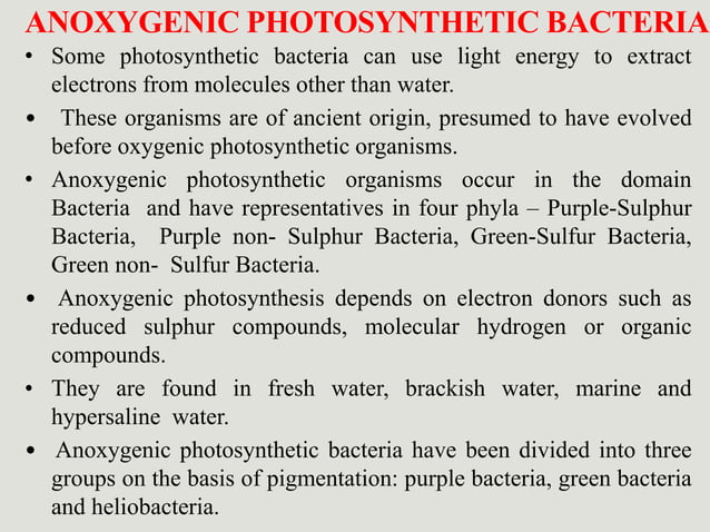 PHOTOSYNTHETIC BACTERIA (OXYGENIC AND ANOXYGENIC) | PPTX | Chemistry ...
