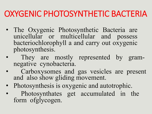 PHOTOSYNTHETIC BACTERIA (OXYGENIC AND ANOXYGENIC) | PPTX | Chemistry ...