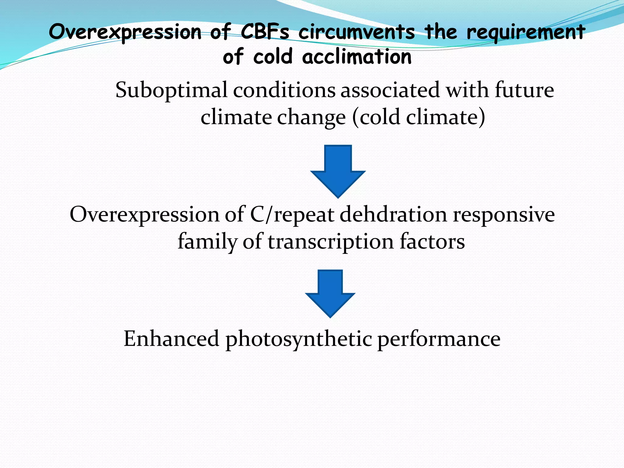 Photosynthesis and Climate Change | PPTX