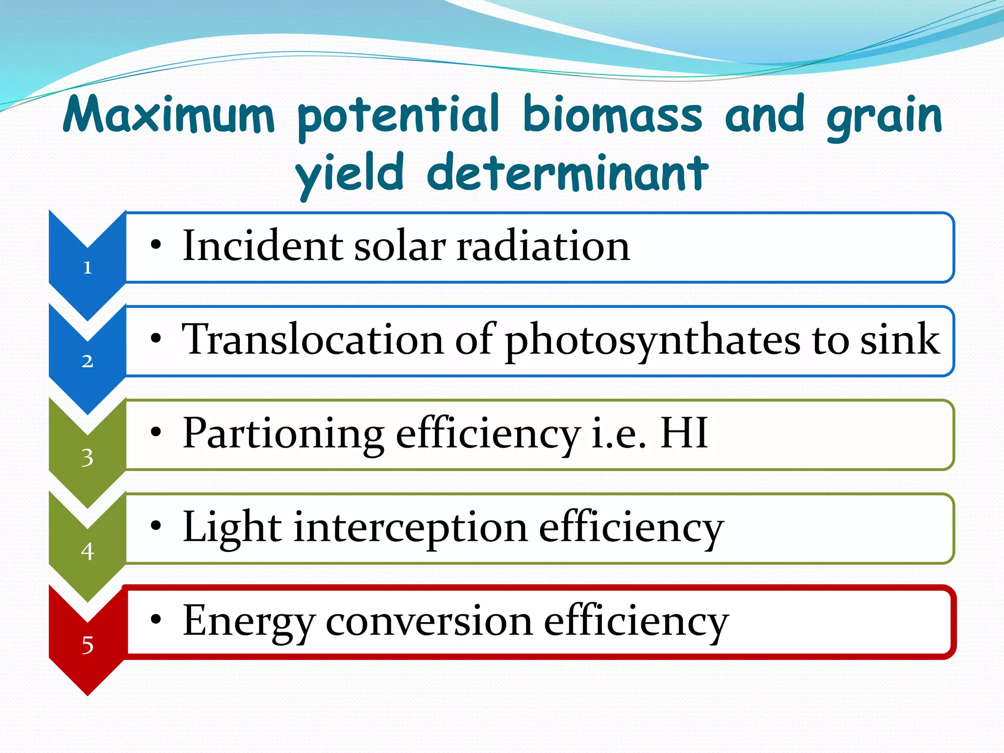 Photosynthesis and Climate Change | PPTX