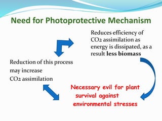 Photosynthesis and Climate Change | PPTX