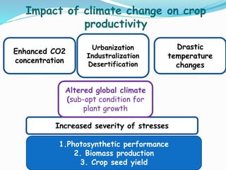 Photosynthesis and Climate Change | PPTX