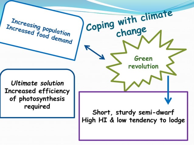 Photosynthesis and Climate Change | PPTX