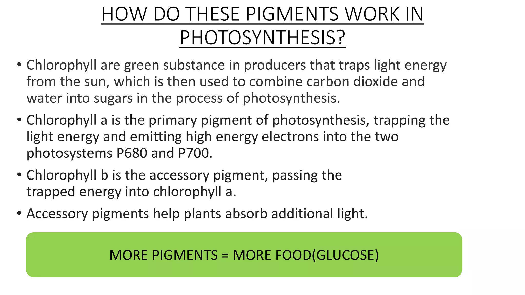 Photosynthetic pigments | PPTX