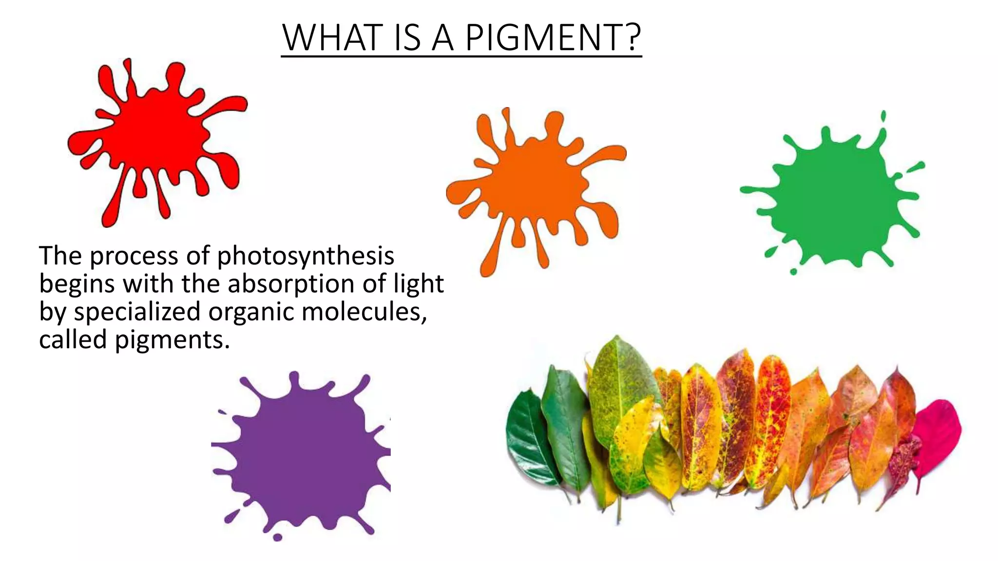Photosynthetic pigments | PPTX