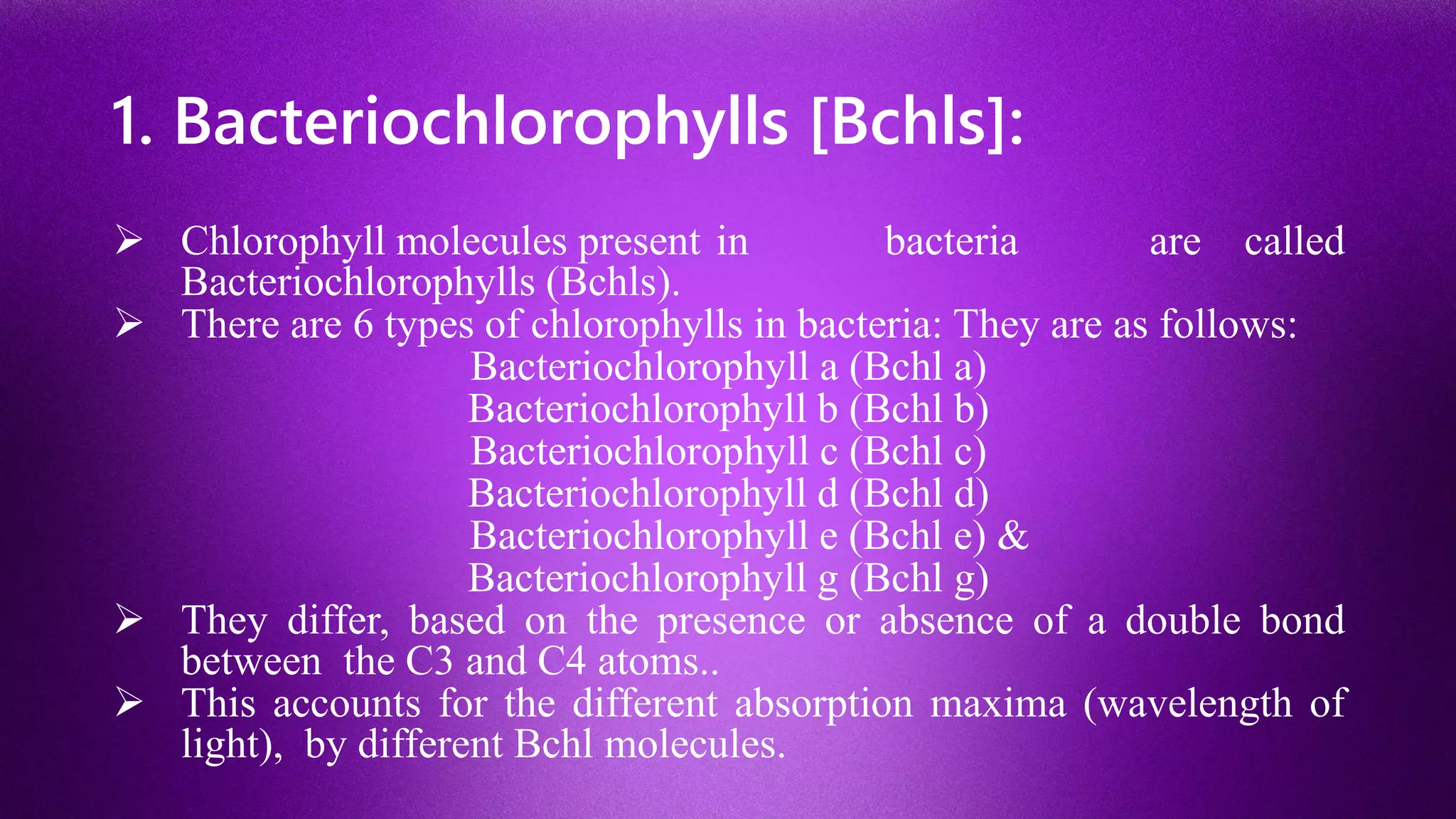 Photosynthetic Pigments in bacteria.pdf