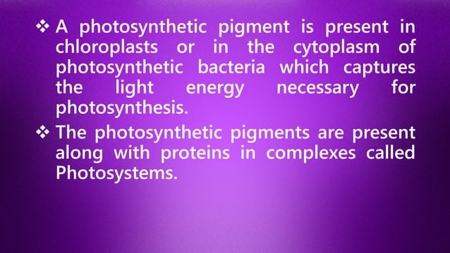 Photosynthetic Pigments in bacteria.pdf | Chemistry | Science