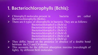 Photosynthetic Pigments in bacteria.pdf