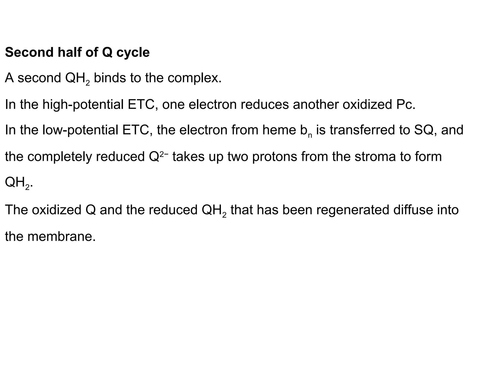 Photosynthesis-2- light reaction - Q-CYCLE | PPT
