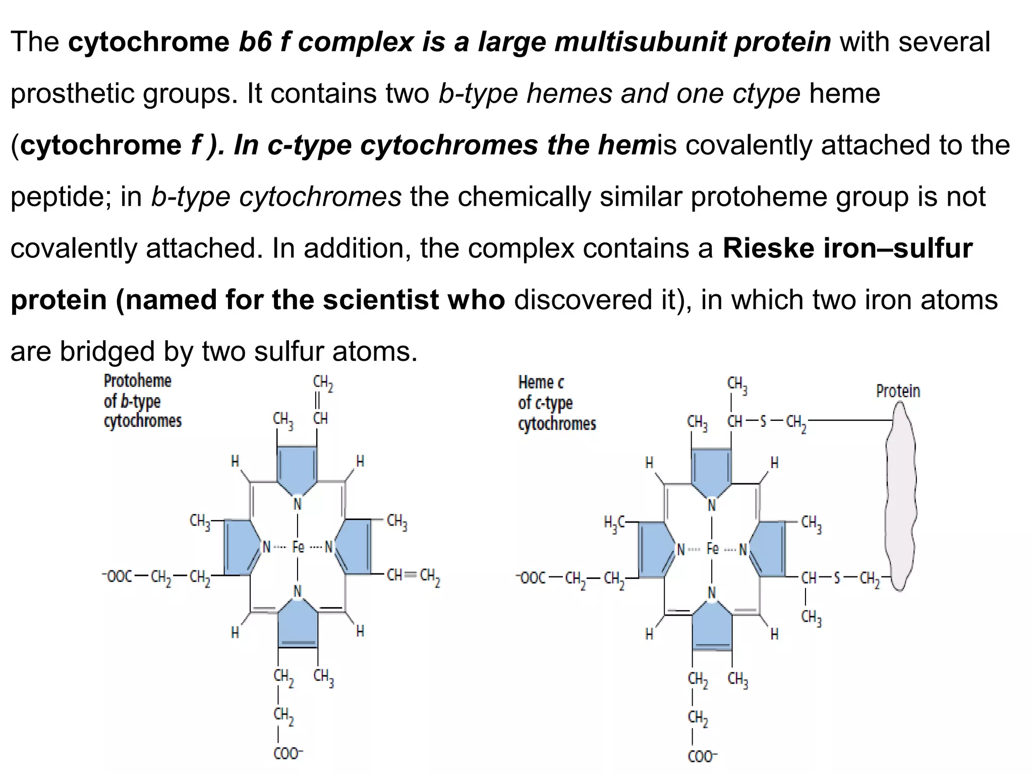 Photosynthesis-2- light reaction - Q-CYCLE | PPT