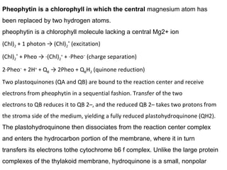 Photosynthesis-2- light reaction - Q-CYCLE | PPT