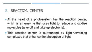 PHOTOSYSTEM.pptx