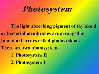 Photosystem 1 And 2 Animation