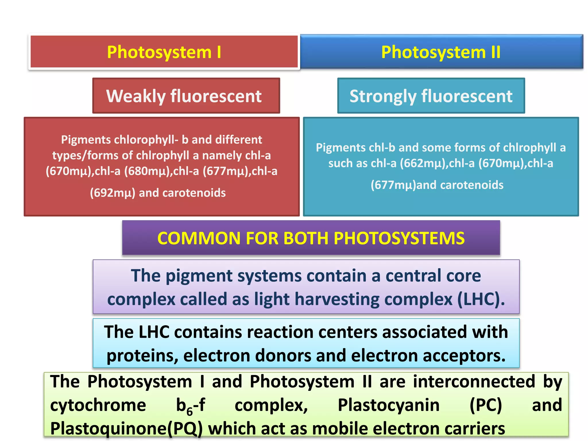 Photosystems i and ii | PPTX