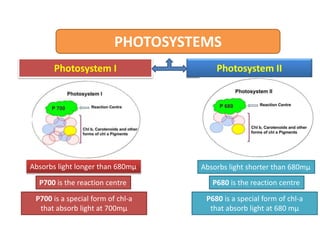 Photosystems i and ii | PPTX