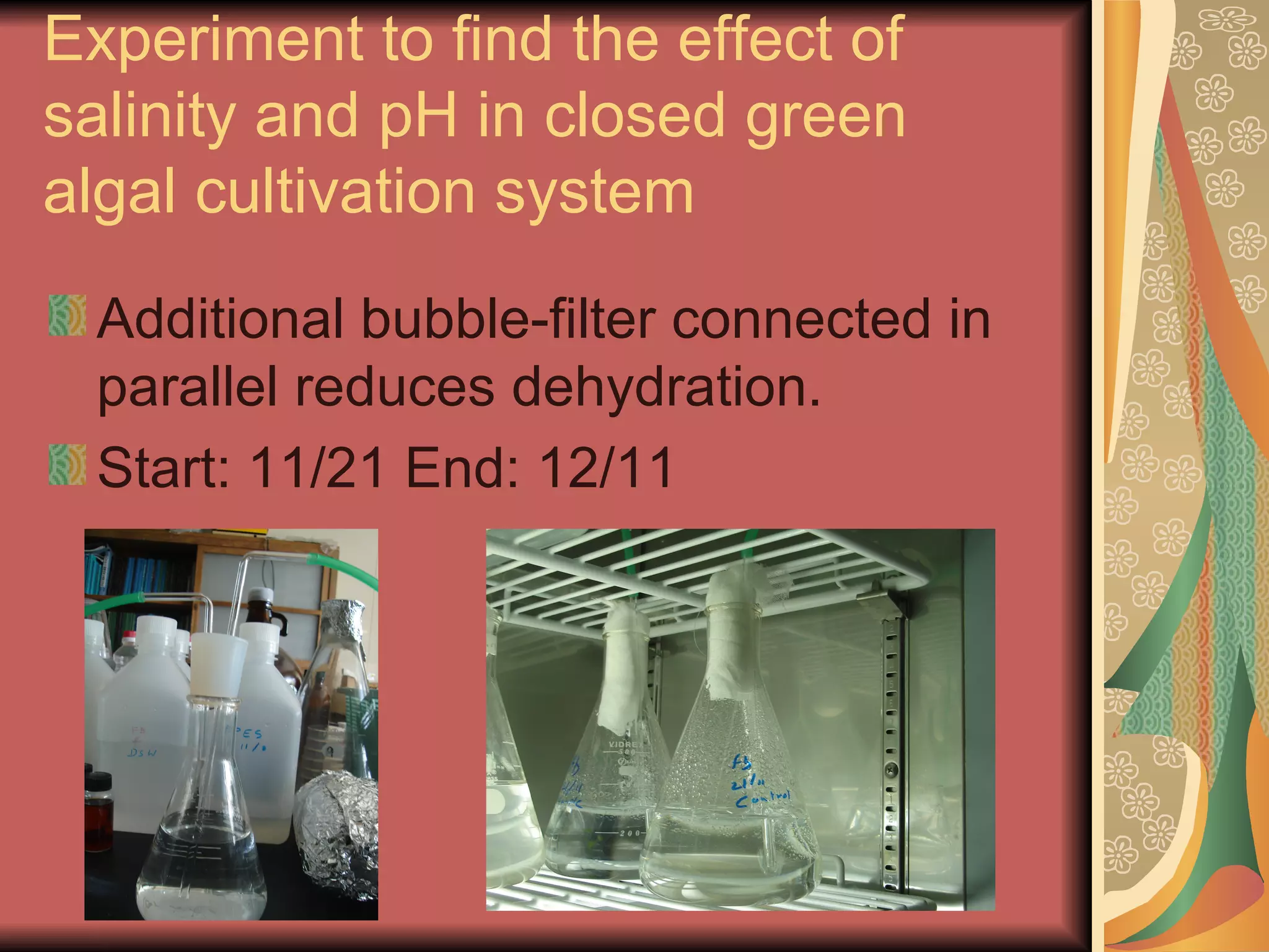 Phototactic isolation of swimming zoids | PPT