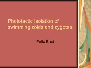 Phototactic isolation of swimming zoids | PPT