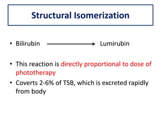 Phototherapy For Jaundice Mechanism