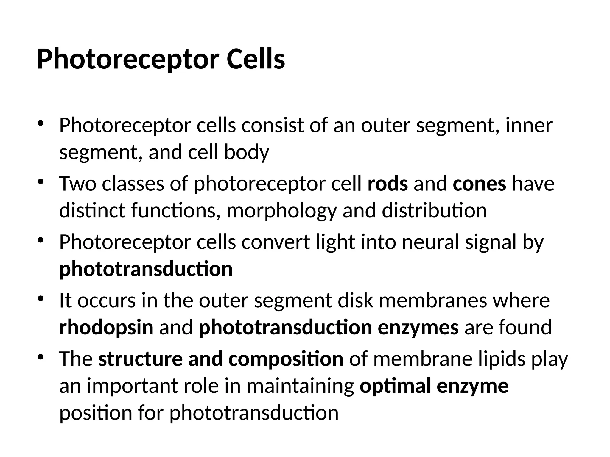 Phototransduction (2).pptx phototransduction | PPTX