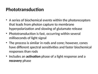 Phototransduction (2).pptx phototransduction | PPTX
