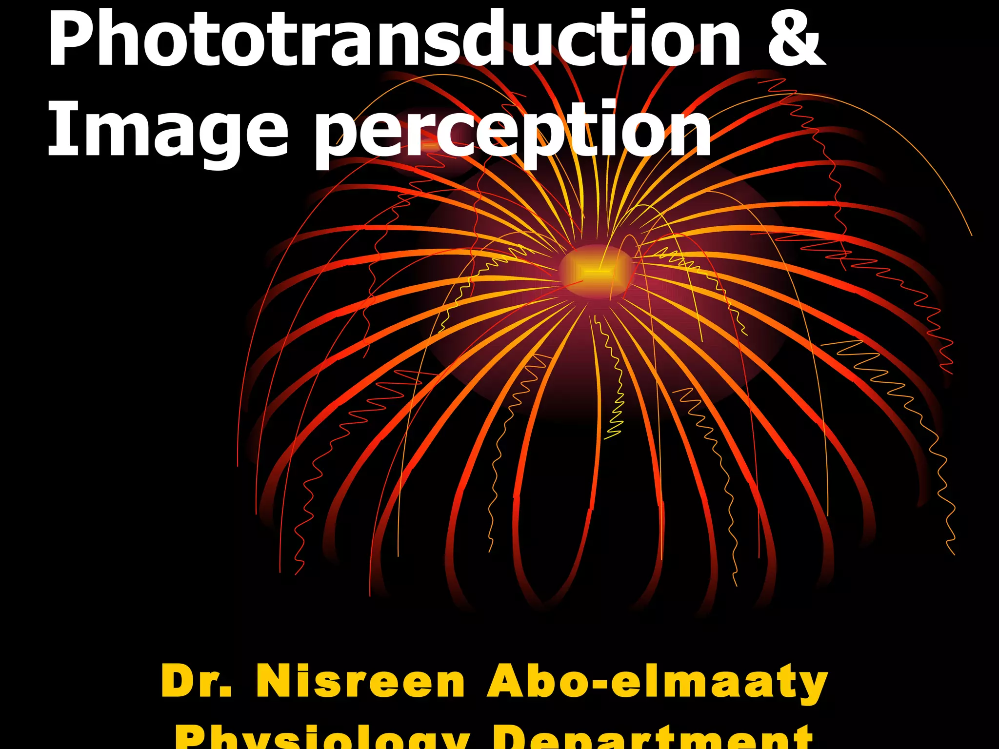 Phototransduction & Visual Pathway Mmp March 10 | PPT