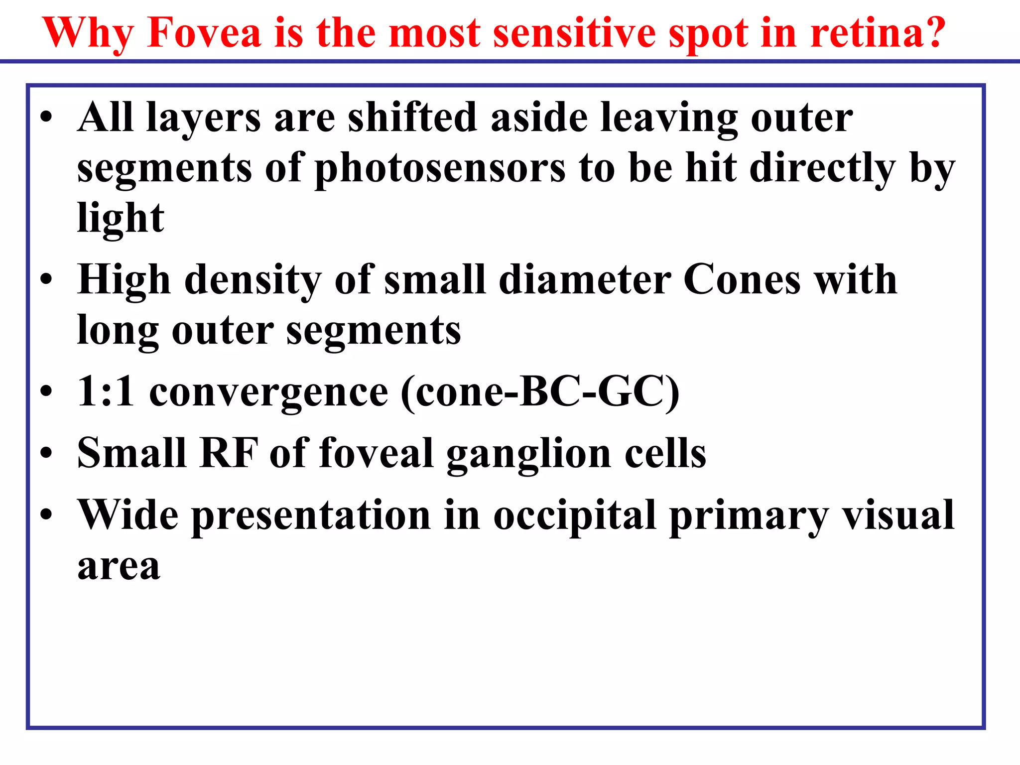 Phototransduction & Visual Pathway Mmp March 10 | PPT