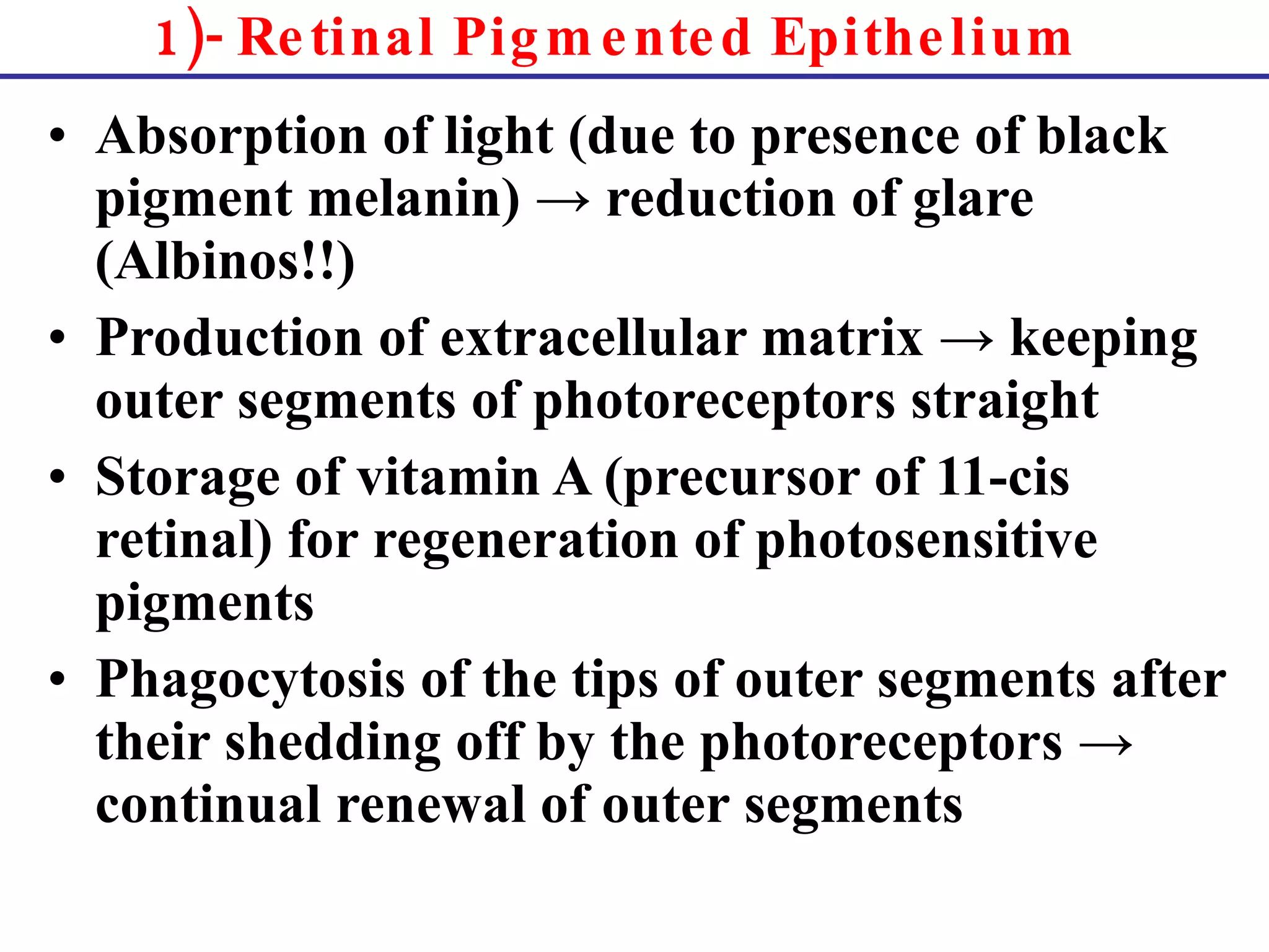 Phototransduction & Visual Pathway Mmp March 10 | PPT