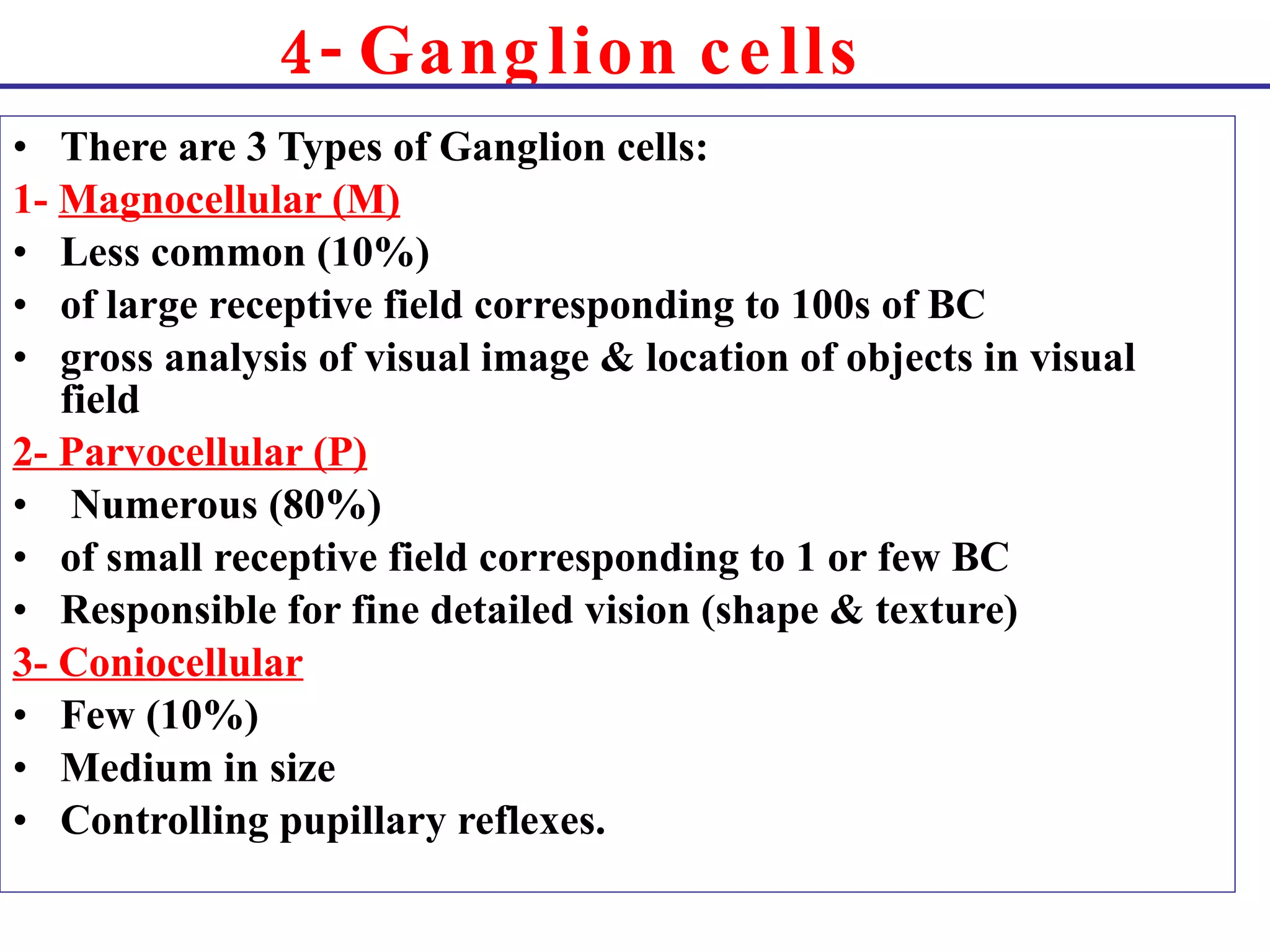 Phototransduction & Visual Pathway Mmp March 10 | PPT