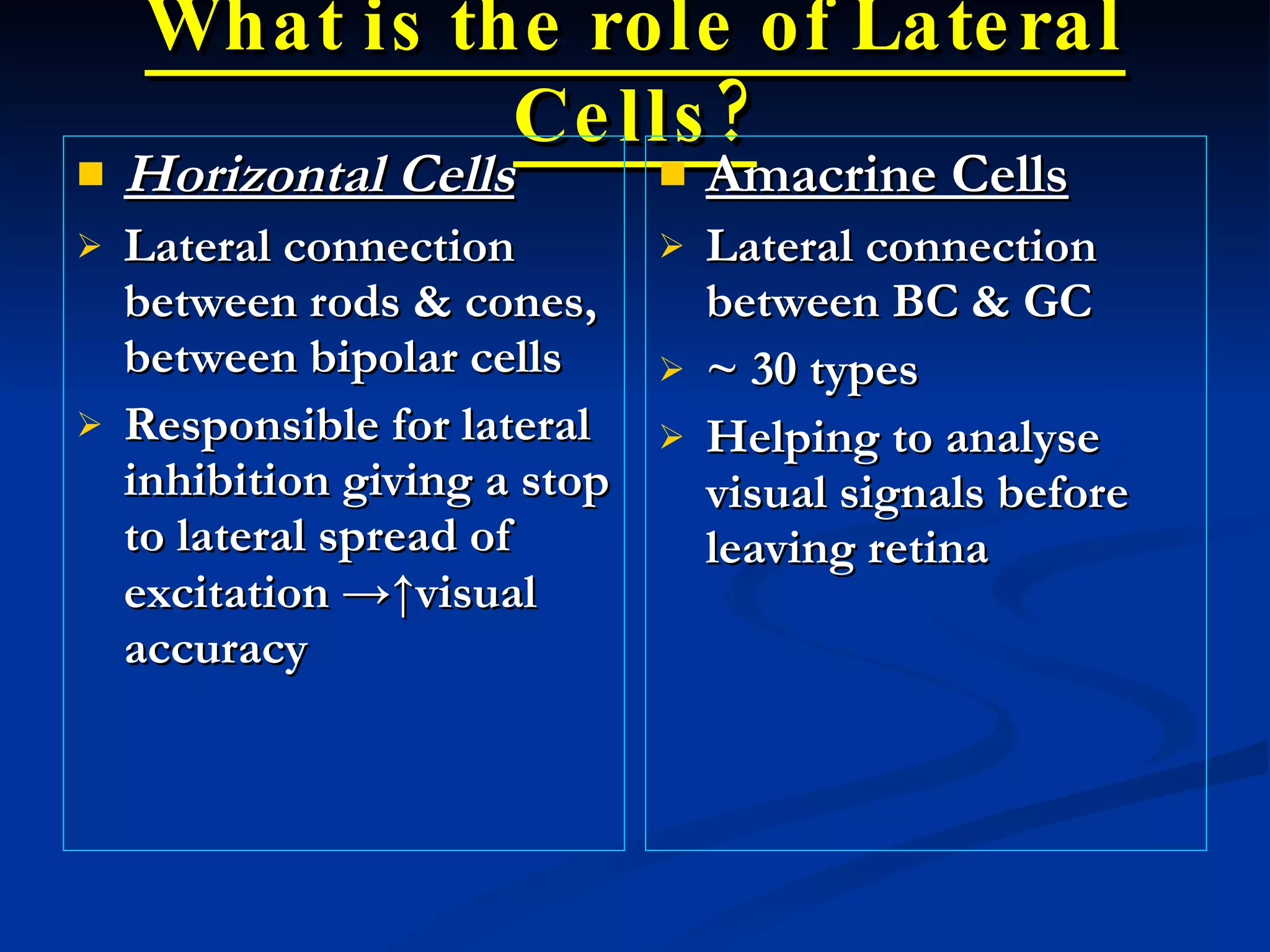 Phototransduction & Visual Pathway Mmp March 10 | PPT | Eye and Vision ...