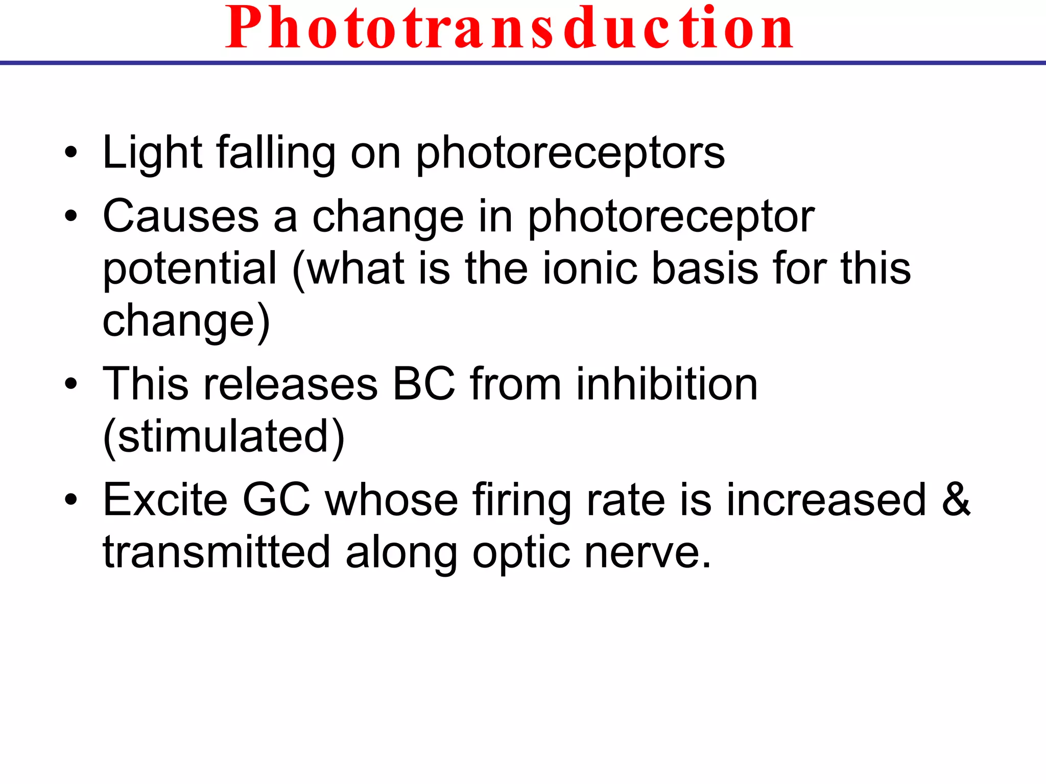 Phototransduction & Visual Pathway Mmp March 10 | PPT