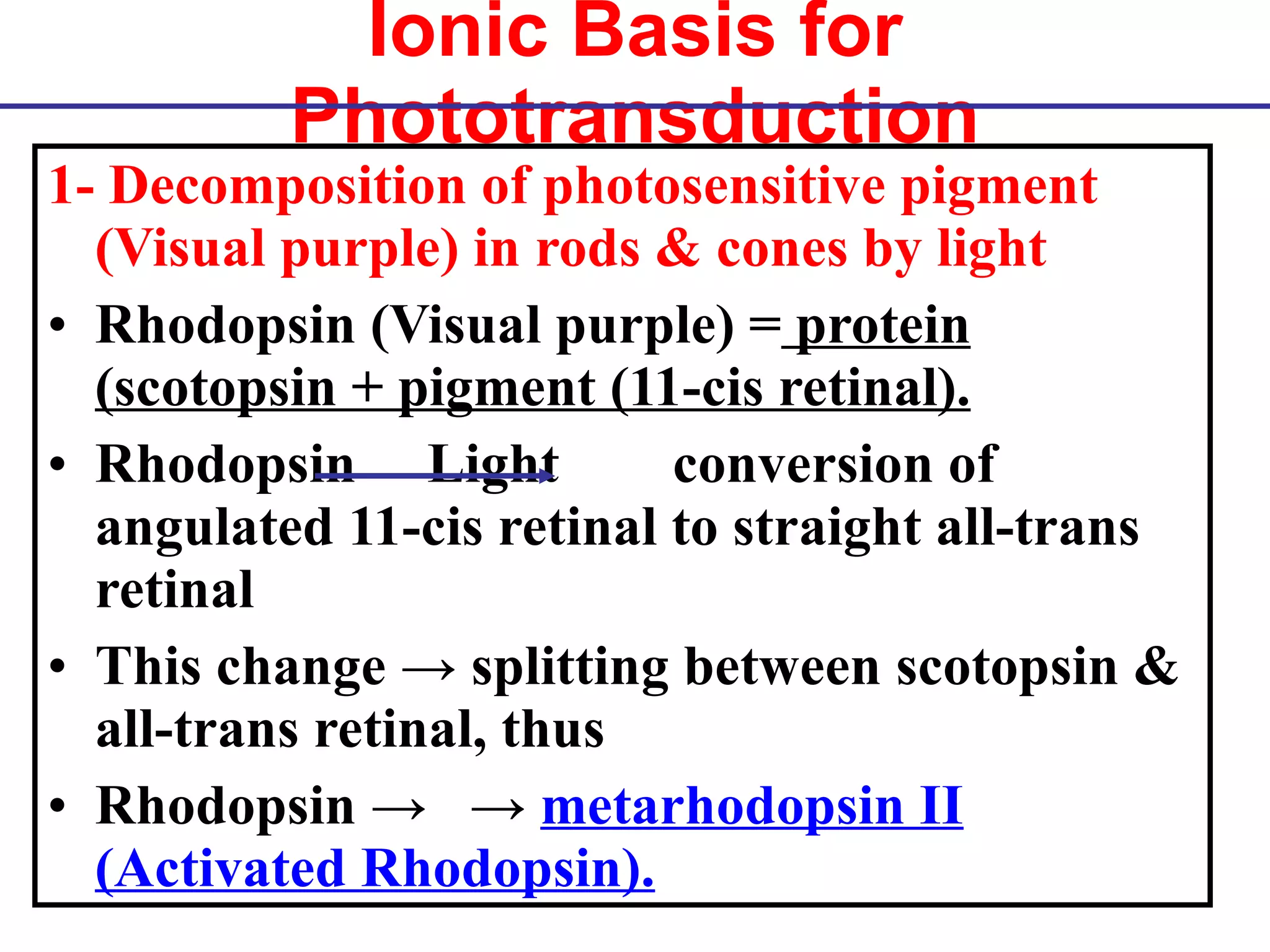 Phototransduction & Visual Pathway Mmp March 10 | PPT