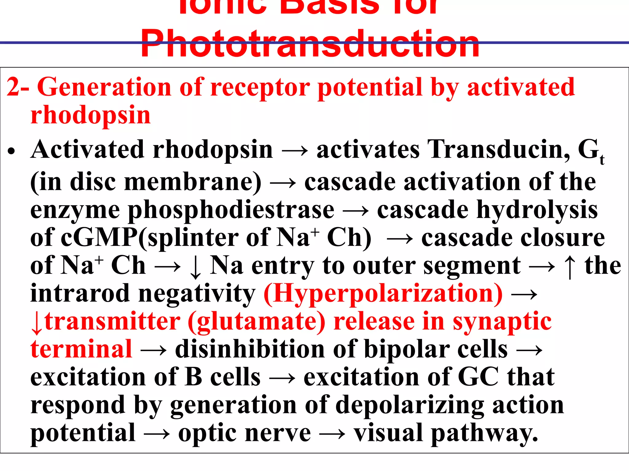 Phototransduction & Visual Pathway Mmp March 10 | PPT