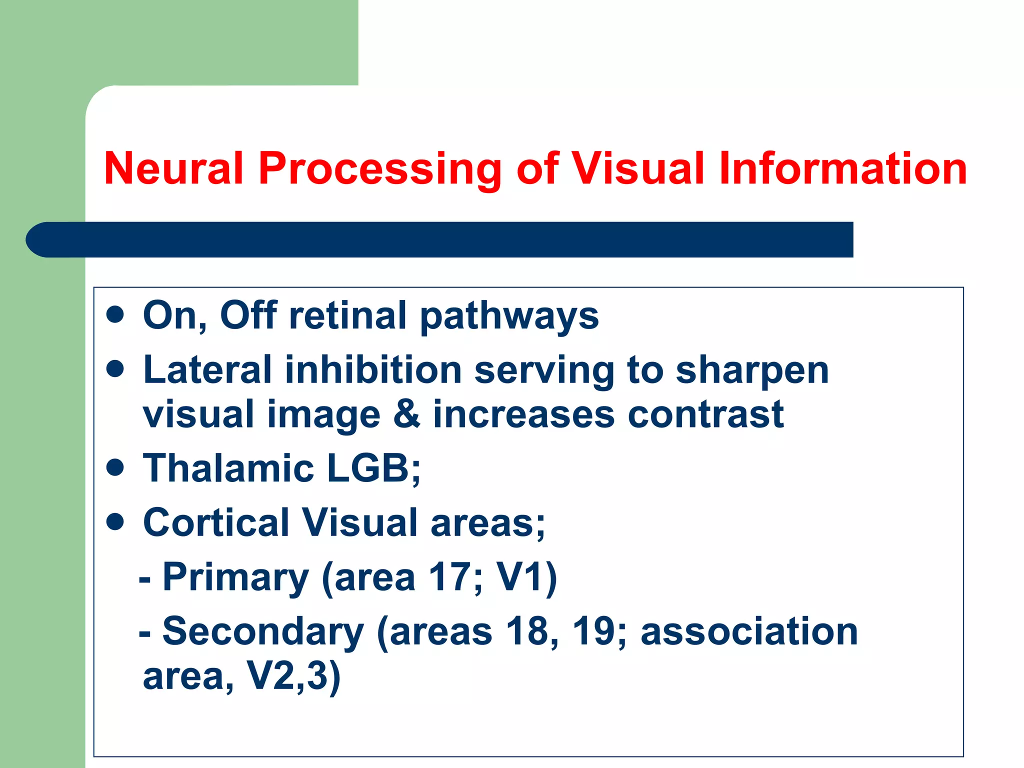 Phototransduction & Visual Pathway Mmp March 10 | PPT | Eye and Vision ...