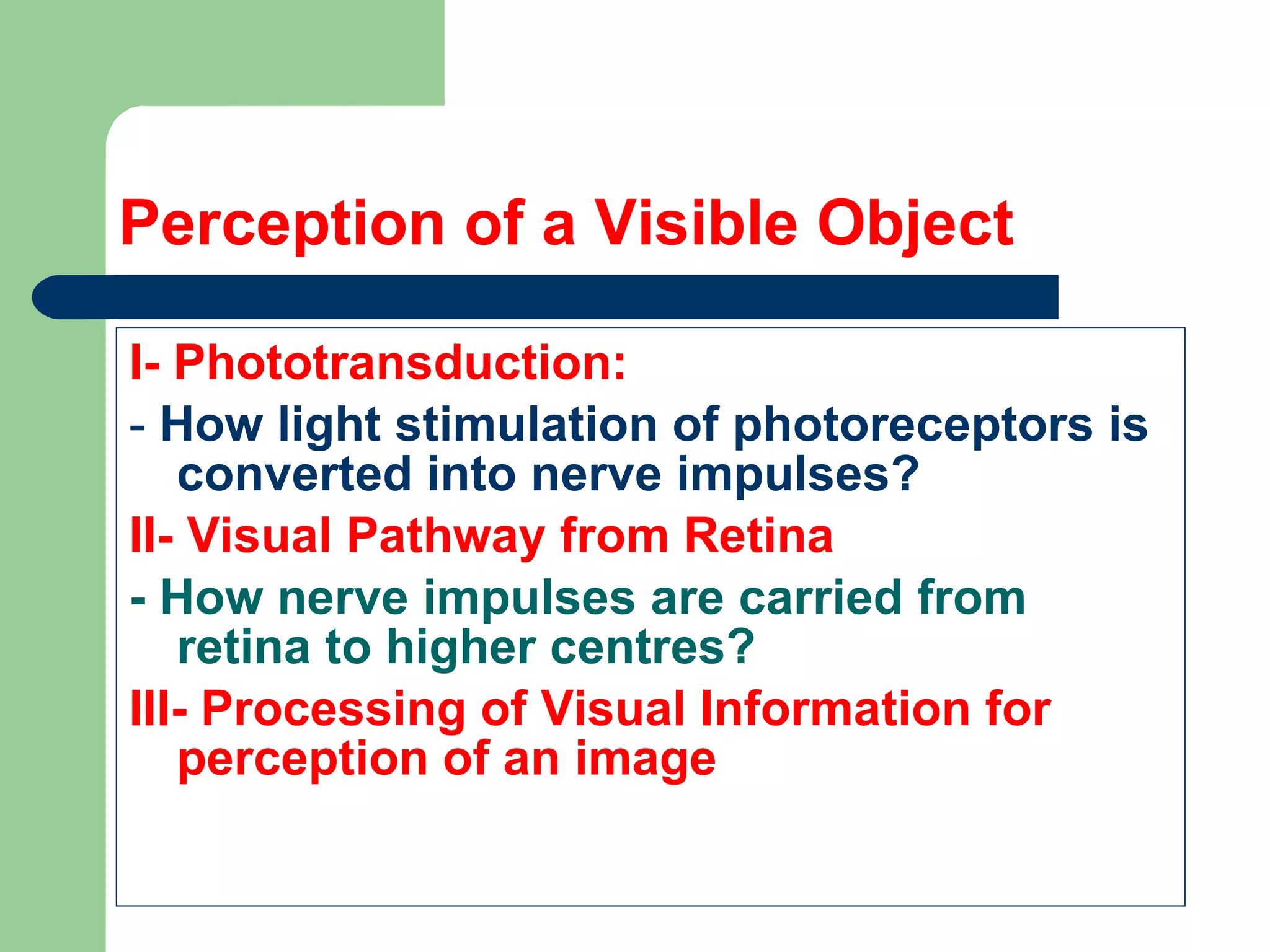 Phototransduction & Visual Pathway Mmp March 10 | PPT