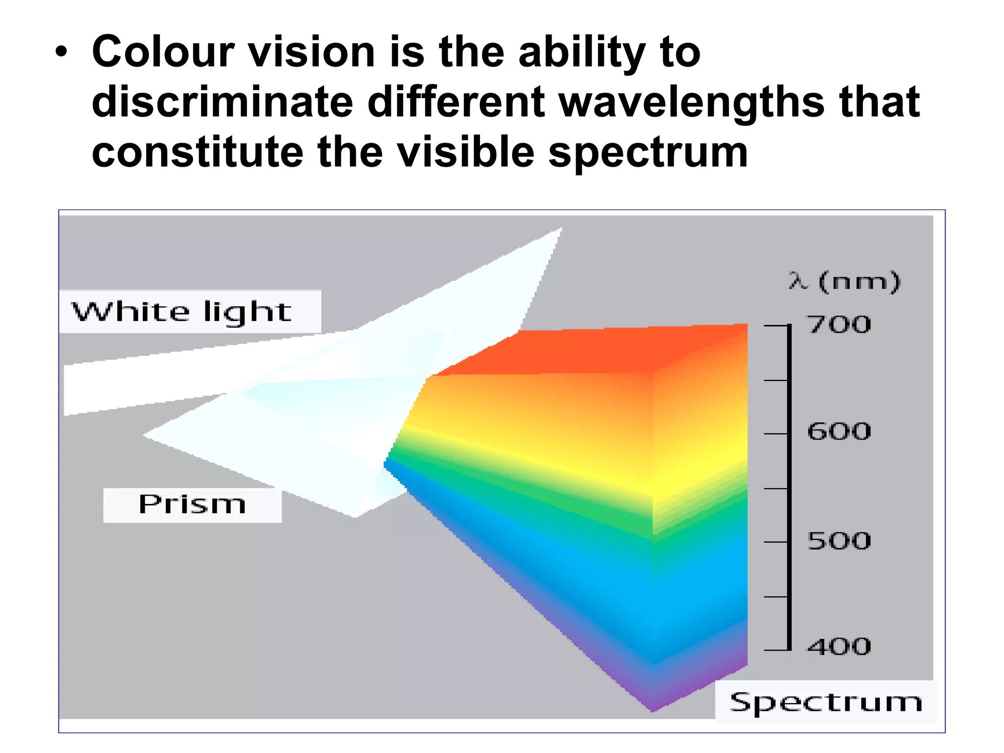 Phototransduction & Visual Pathway Mmp March 10 | PPT
