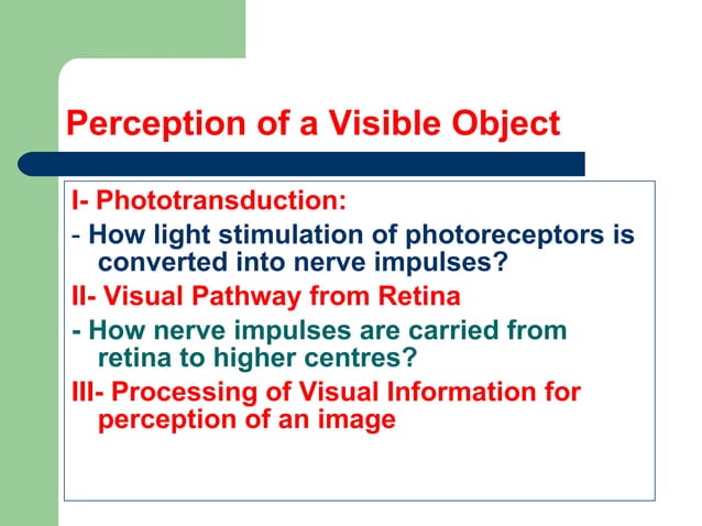 Phototransduction & Visual Pathway Mmp March 10 | PPT | Eye and Vision ...