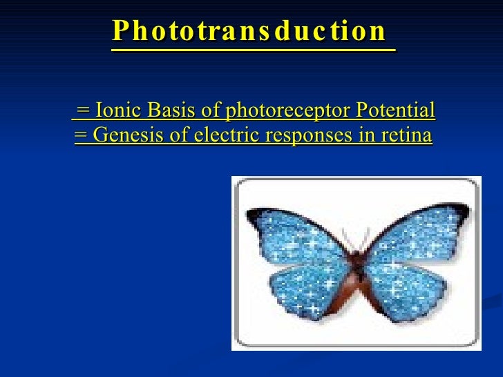 Phototransduction & Visual Pathway Mmp March 10