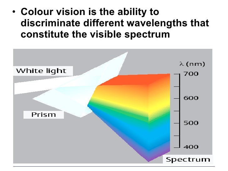 Phototransduction & Visual Pathway Mmp March 10