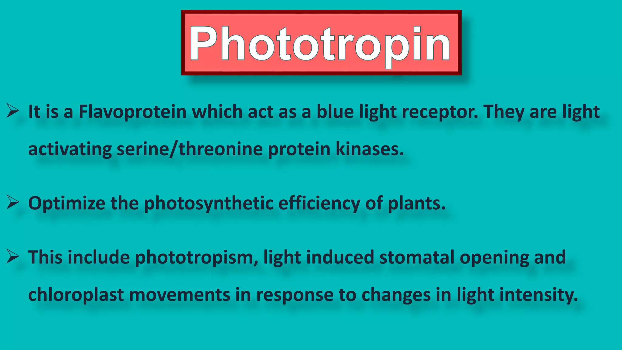 Phototropin | PPTX
