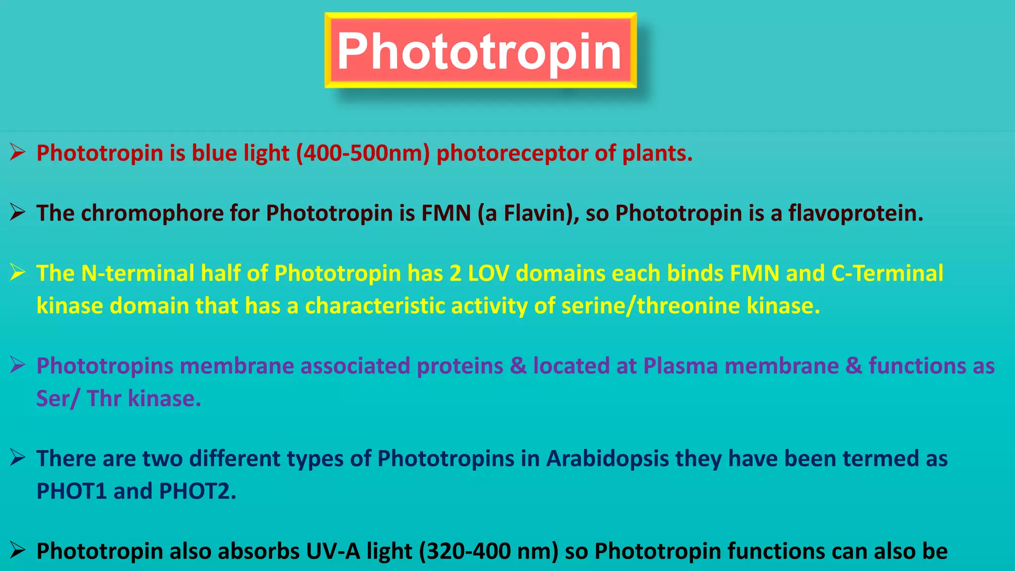 Phototropin | PPTX