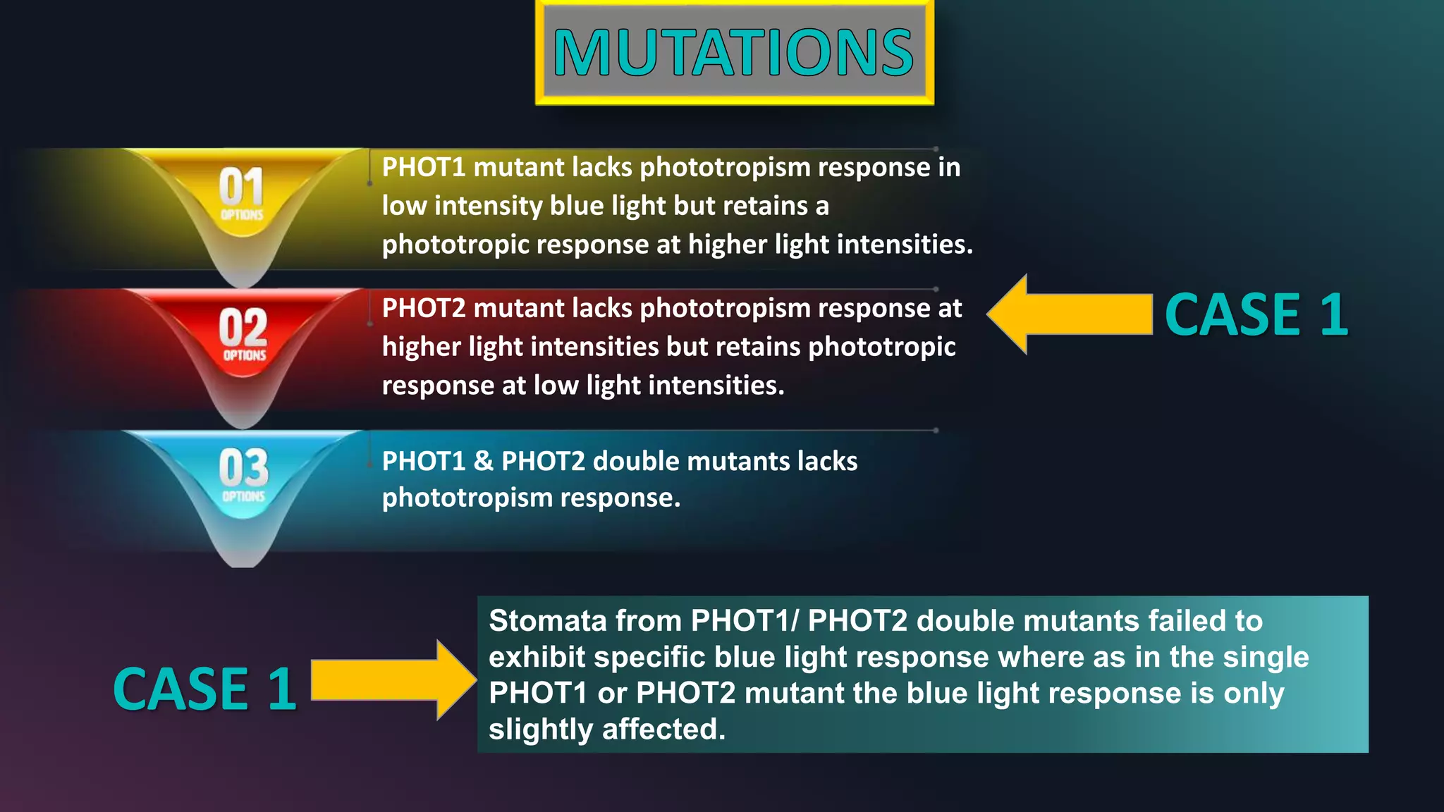 Phototropin | PPTX