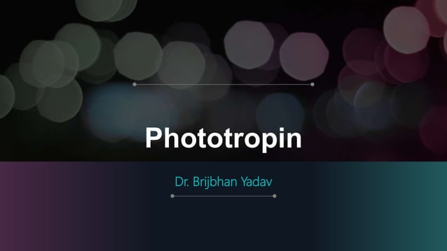 Phototropin | PPTX | Chemistry | Science