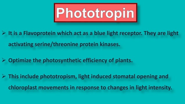 Phototropin | PPTX | Chemistry | Science
