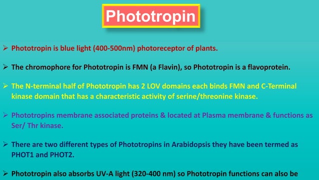 Phototropin | PPTX | Chemistry | Science