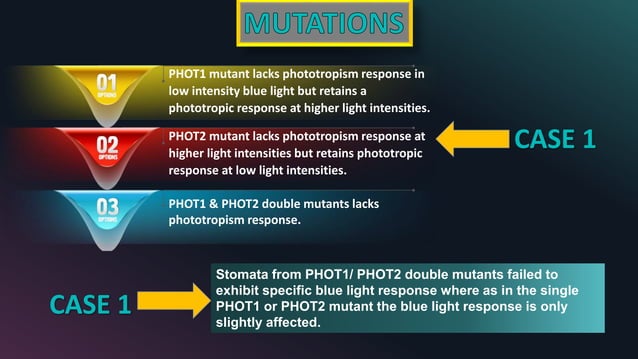 Phototropin | PPTX | Chemistry | Science